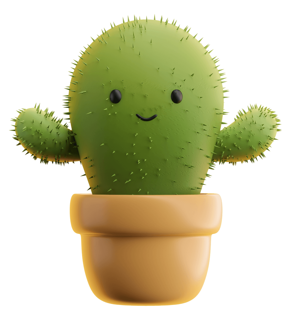 Responsive cactus website