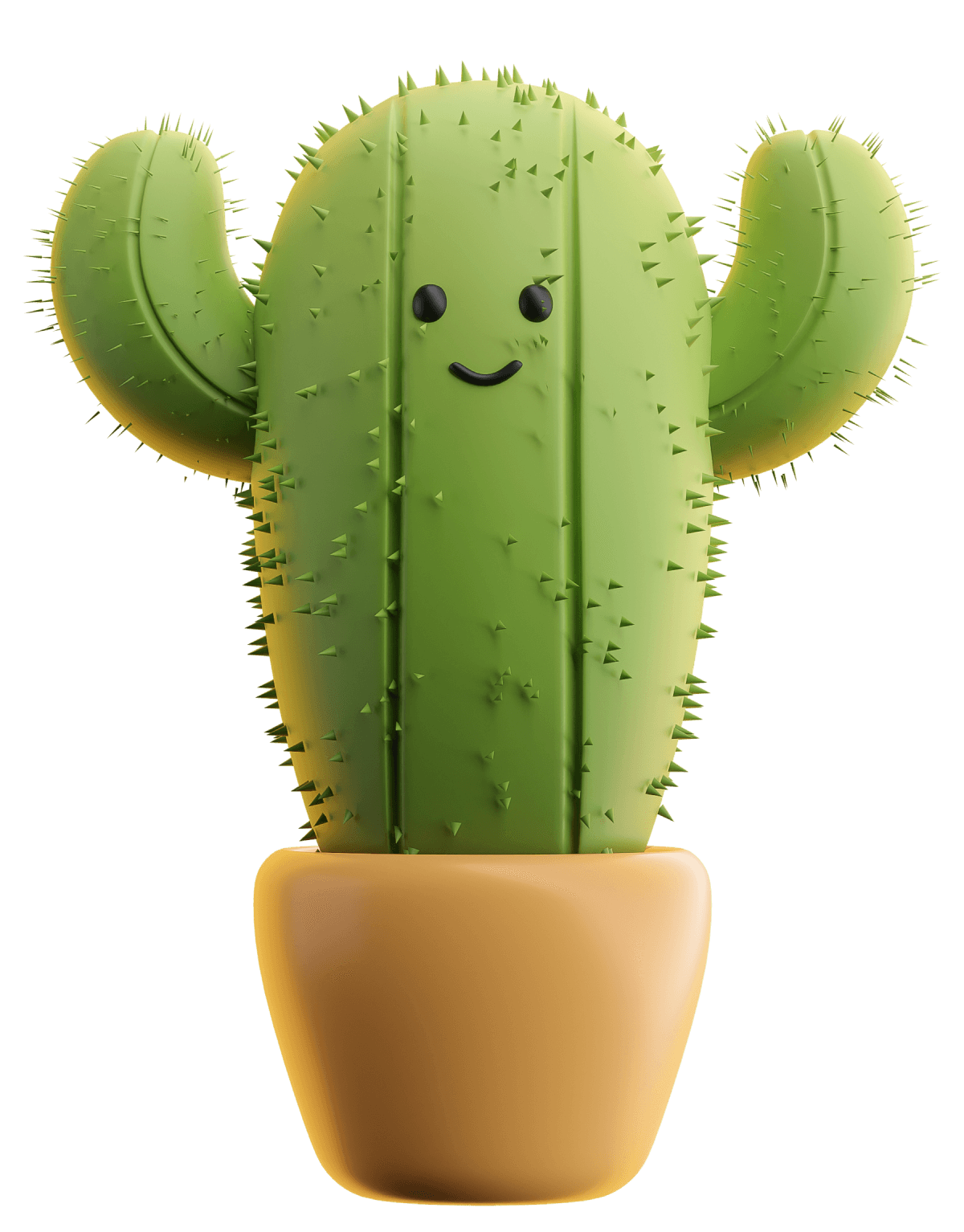 Responsive cactus website